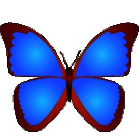 BkViewer下载_BkViewer(数码照片查看器) v7.6j 便携版下载 - 站长工具网